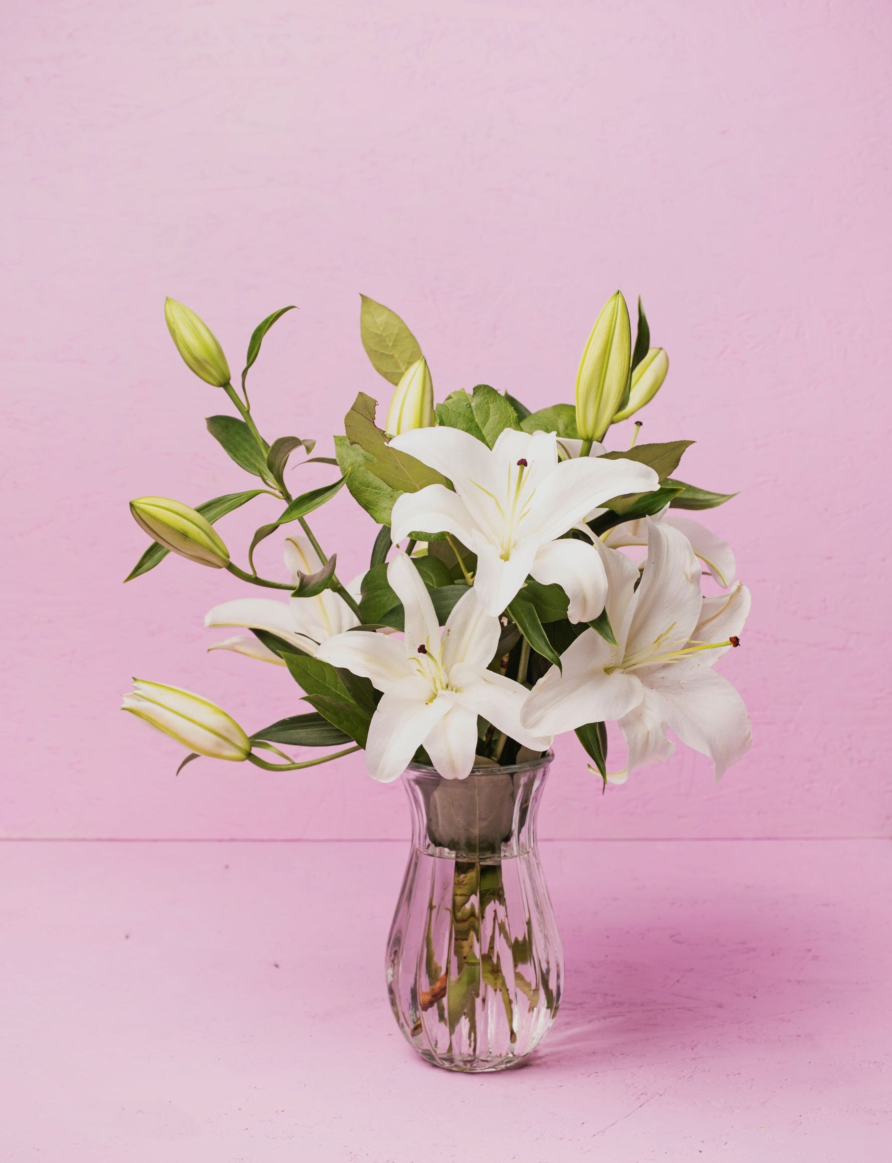 Blómutyssi– Akkuleya