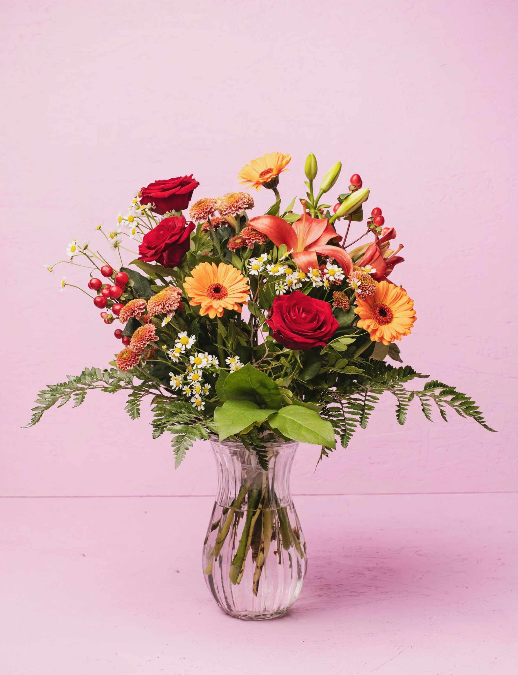 Akkuleya – blómuhandilin